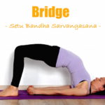 How to do gomukhasana - step by step instructions and more